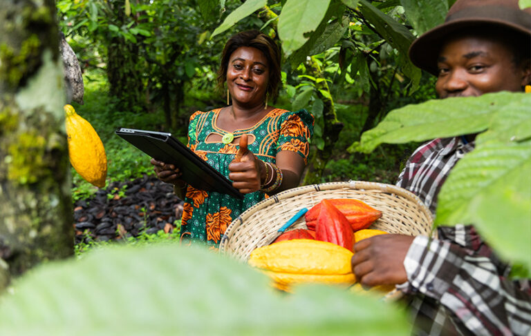 Agricultural Inputs – Farm VIlla Africa